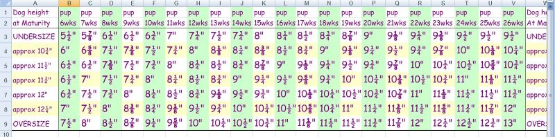 Links and Breed Standard – Mightymite